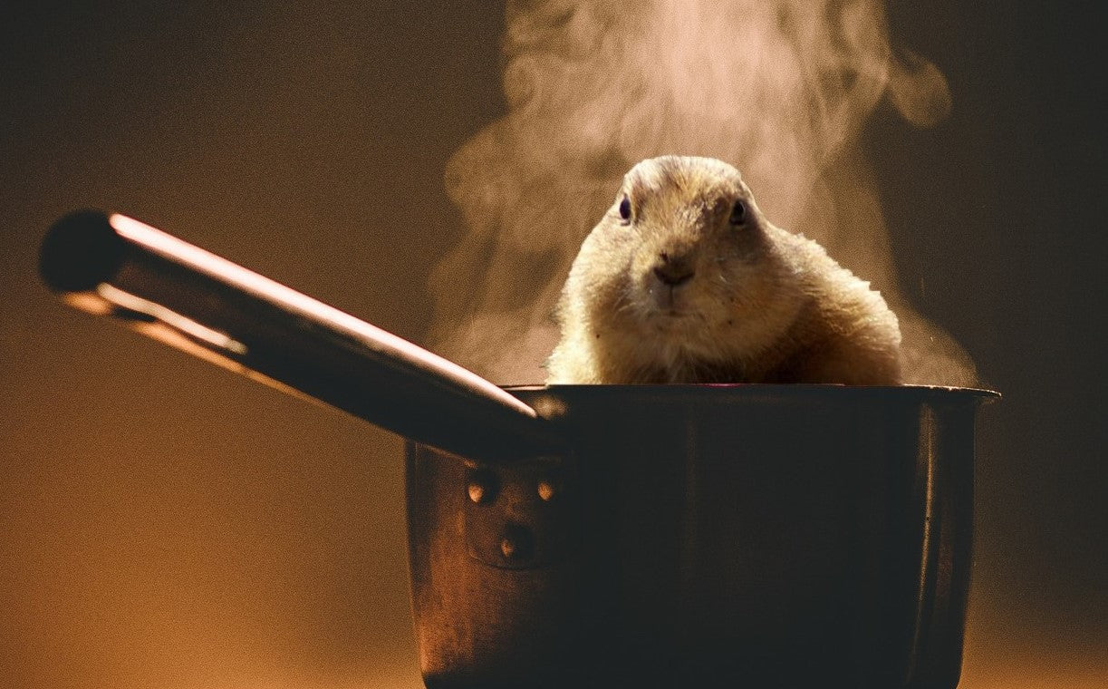 Ground Hog Day Recipes – Humphreys BBQ